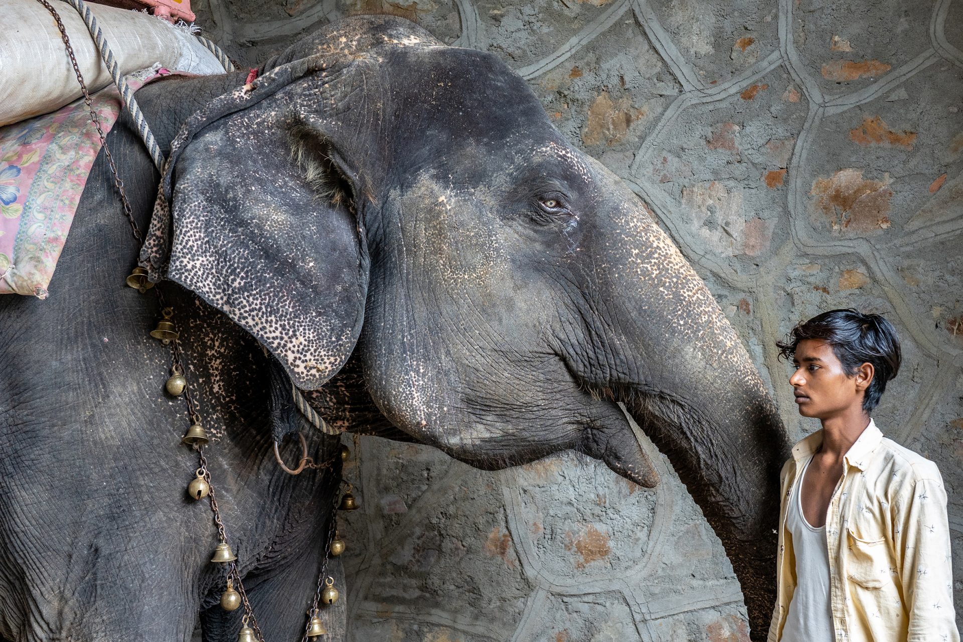 Exhibition “Les regards de l’Inde” – Fiap Paris